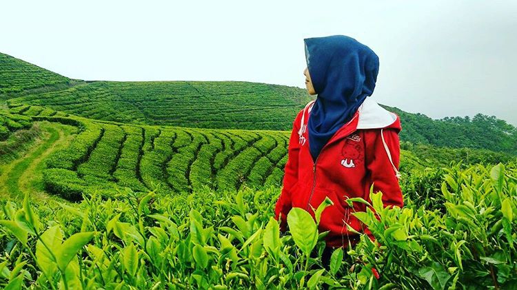Get Lost in Lumajang, 7 Destinasinya Bikin Kamu Ogah Pulang!
