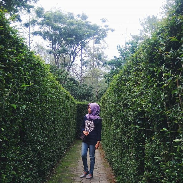 Bergaya Seperti Dalam Film Maze Runner di Labirin Coban Rondo