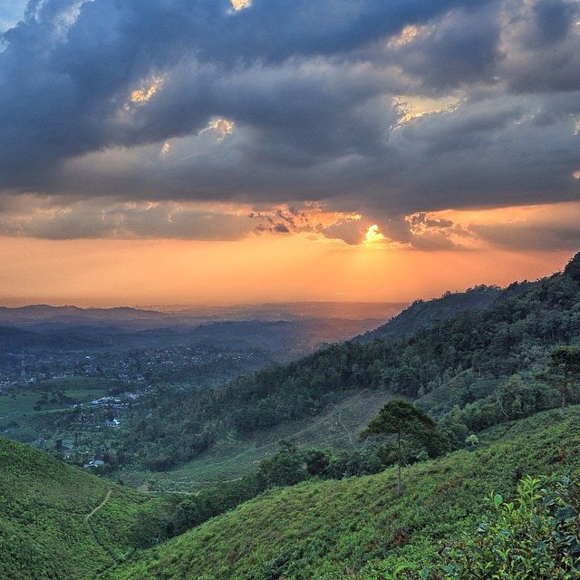 Terbang bak Burung di Atas Kebun Teh Kemuning Karanganyar, Seru Abis