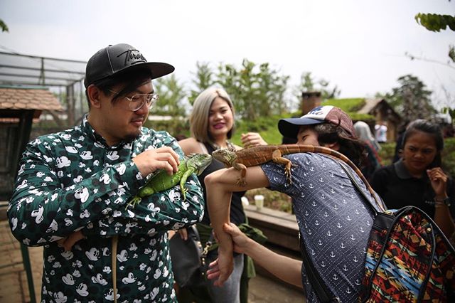 Weekend Seru di Farmhouse Susu Lembang, Peternakan ala Eropa di Bandung