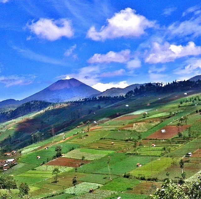 Agrowisata Kaligua, Tempat Ngadem di Brebes