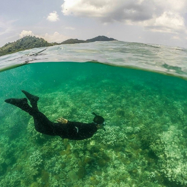 Spot Snorkeling di Batam? Pulau Petong Jawabnya