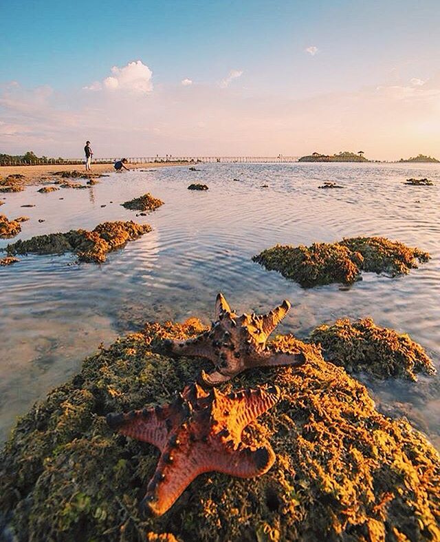 Pantai Viovio di Batam, Pantai Bernama Unik dan Punya Sunset yang Epik