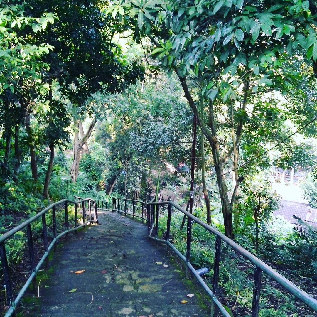 Tempat Wisata Lamongan yang Bikin Kamu Melonjak Kesenengan