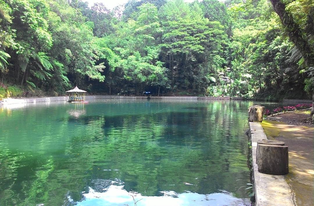 Intip Destinasi Wisata Rawa di Indonesia, Keindahan yang Membuatmu Terpana