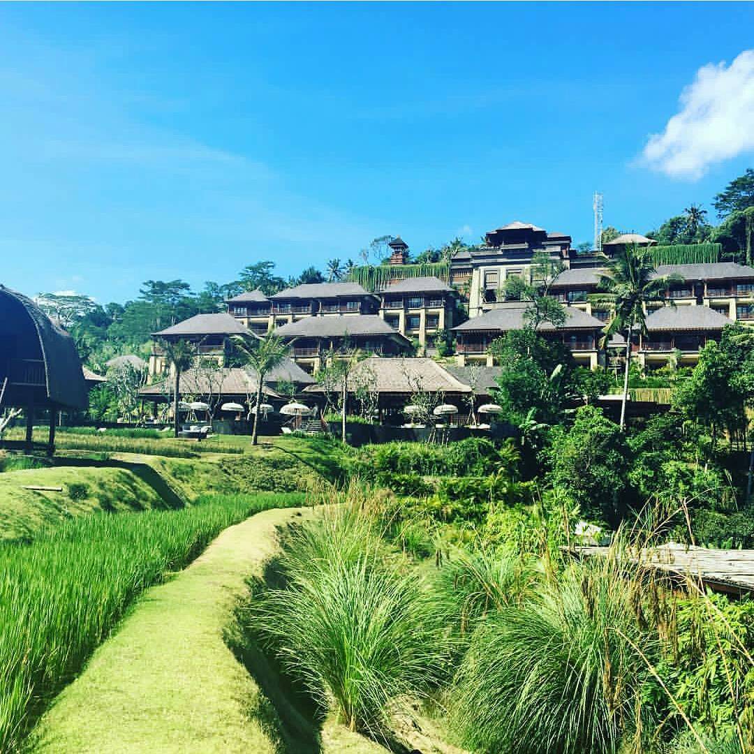 Mandapa Reserve, Resort Penuh Ketenangan di Puncak Surgawi Dunia: Ubud