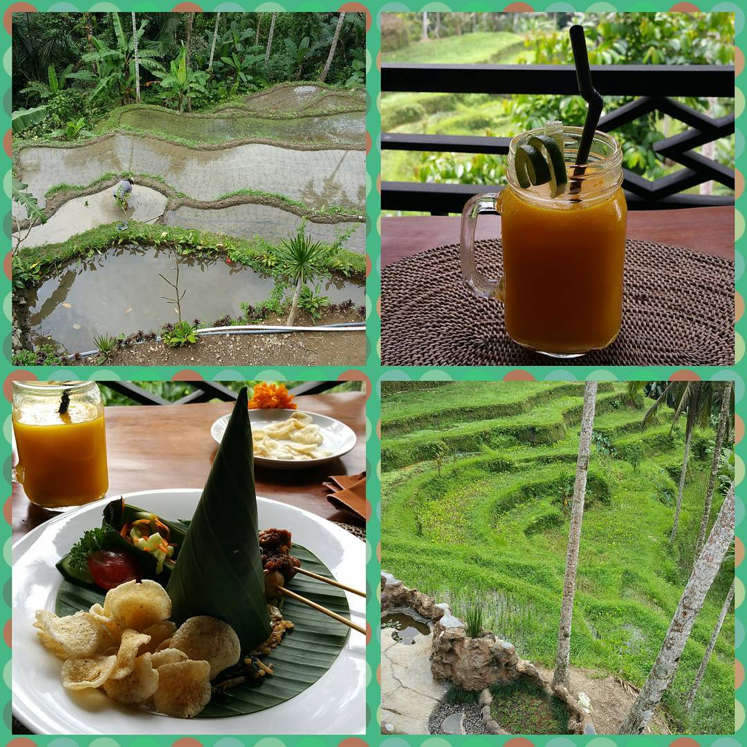 Cafe dan Resto di Bali yang Pemandangannya Lepas Menghadap Sawah ...