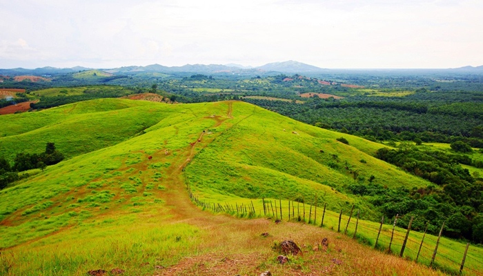 Pemburu Keindahan, Bukit Hijau Paling Instagram-able Ini Menunggumu ...
