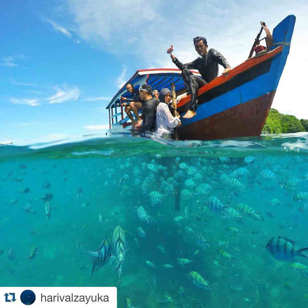 Melihat Ikan dan Karang Cantik di Spot Snorkeling Belitung