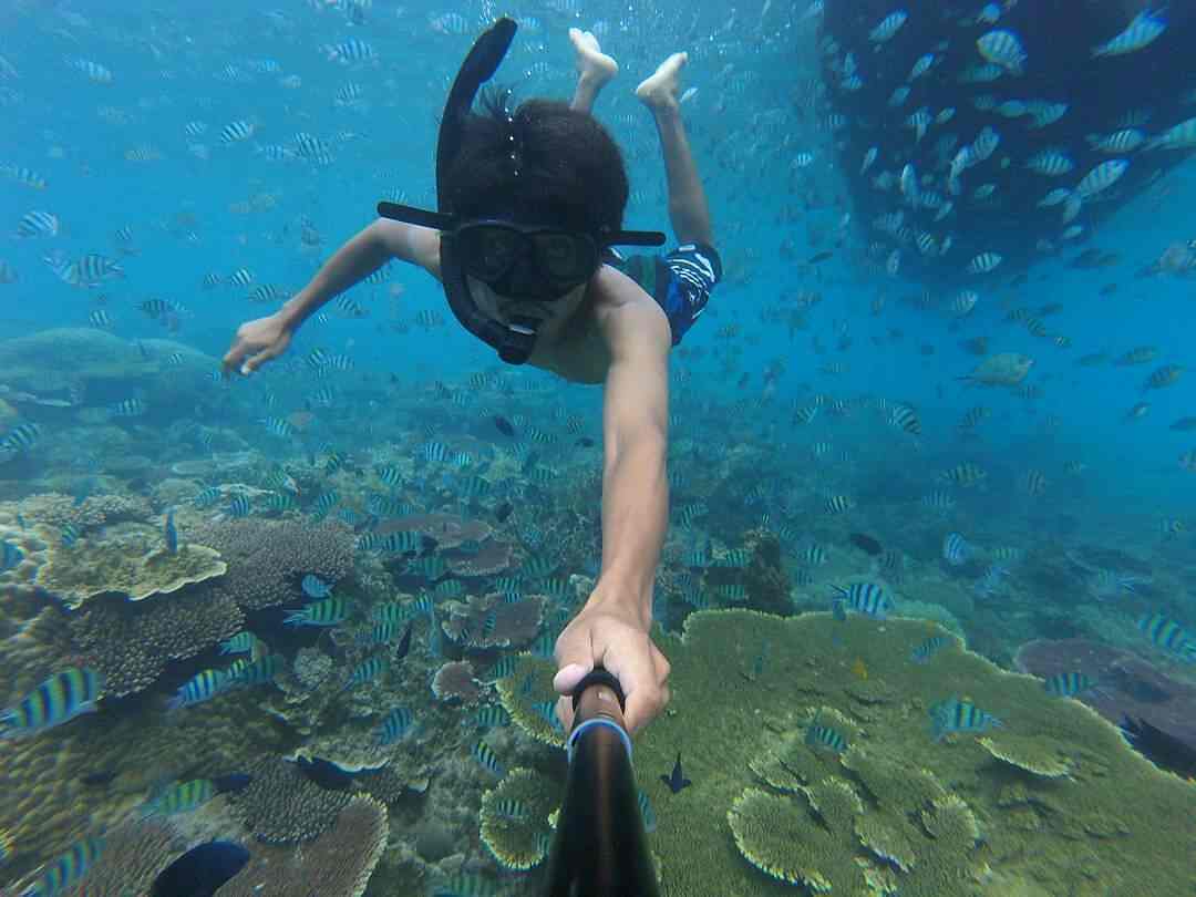 Melihat Ikan dan Karang Cantik di Spot Snorkeling Belitung