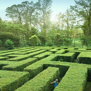 4 Wisata Labirin Paling Hits, Tempat Liburan Seru Bareng Sahabat