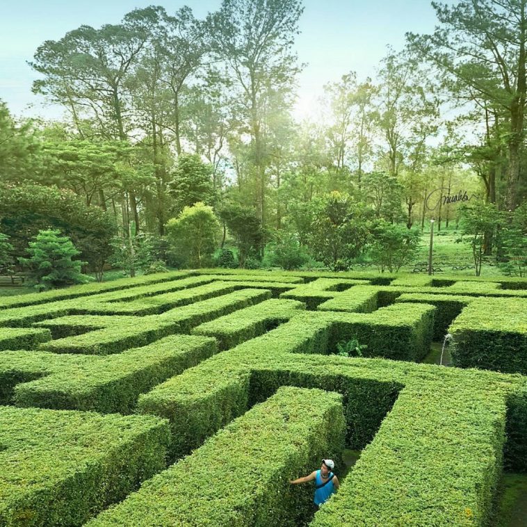 4 Wisata Labirin Paling Hits, Tempat Liburan Seru Bareng Sahabat