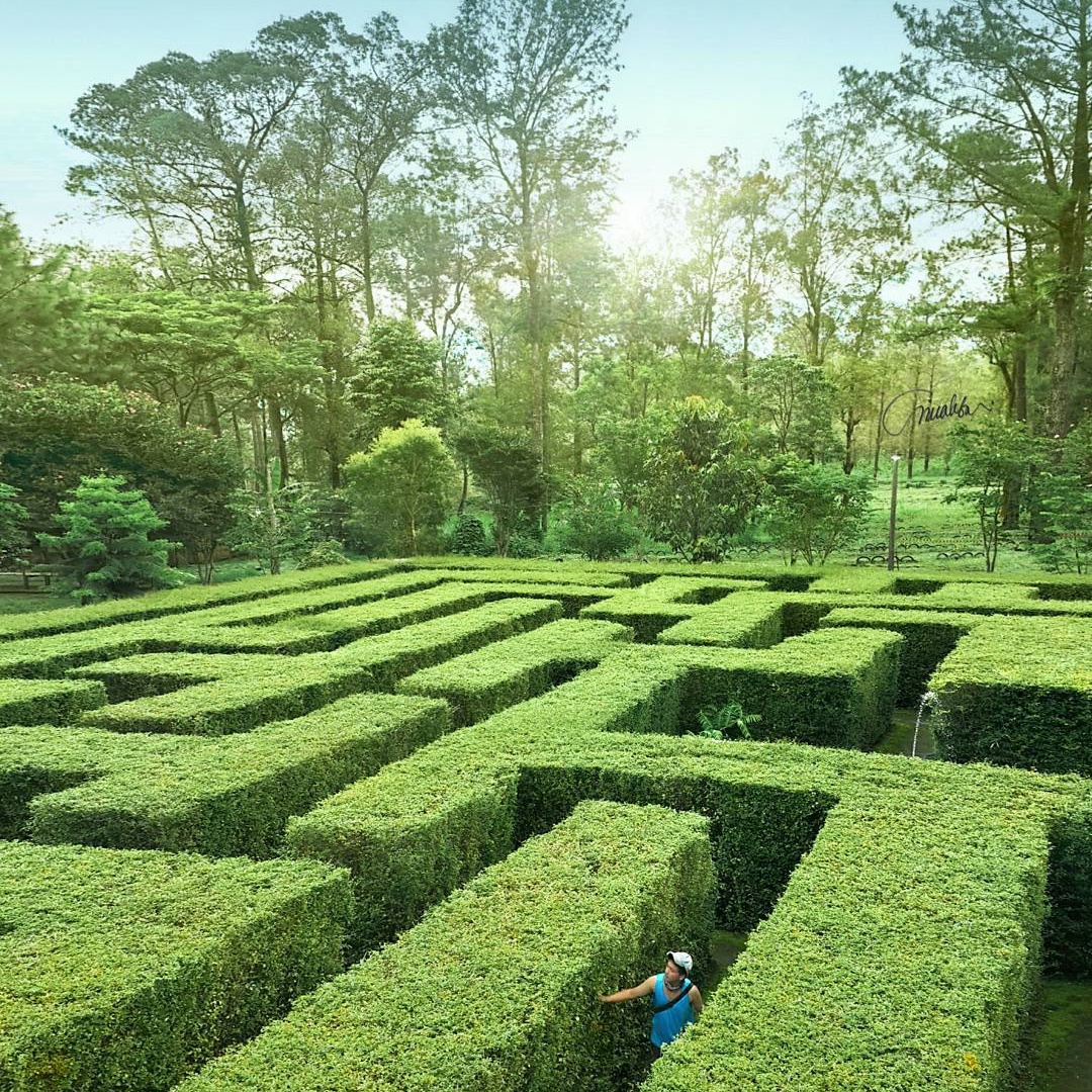 4 Wisata Labirin Paling Hits, Tempat Liburan Seru Bareng Sahabat