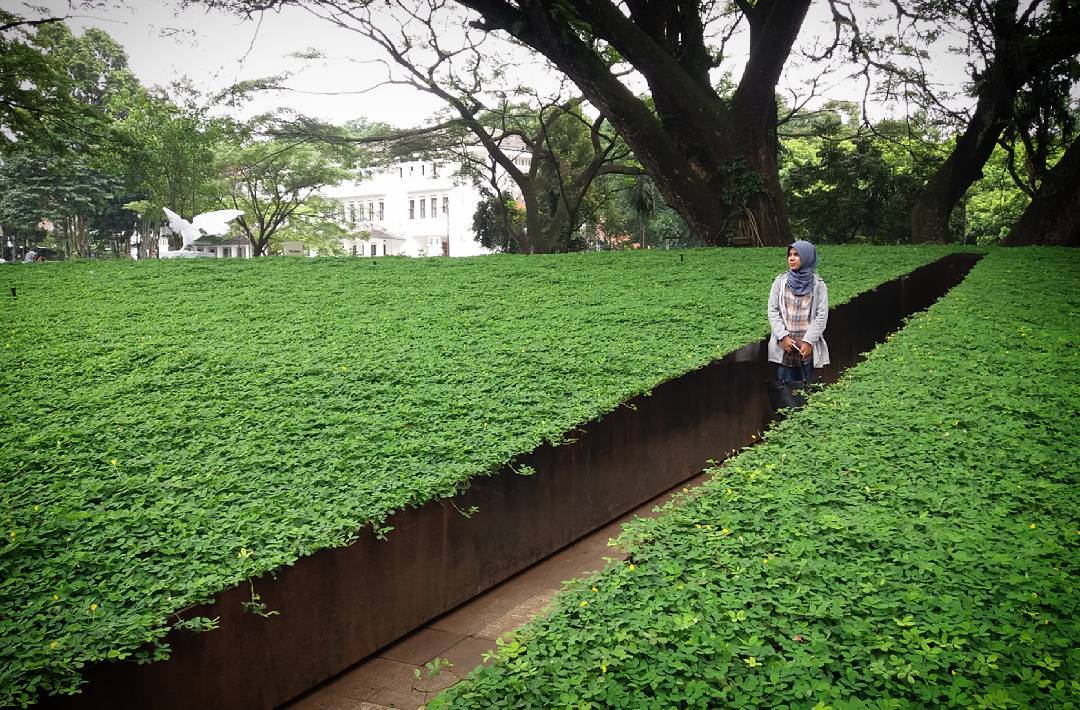 4 Wisata Labirin Paling Hits, Tempat Liburan Seru Bareng Sahabat