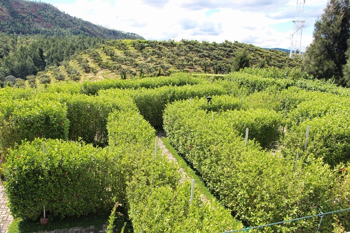 4 Wisata Labirin Paling Hits, Tempat Liburan Seru Bareng Sahabat