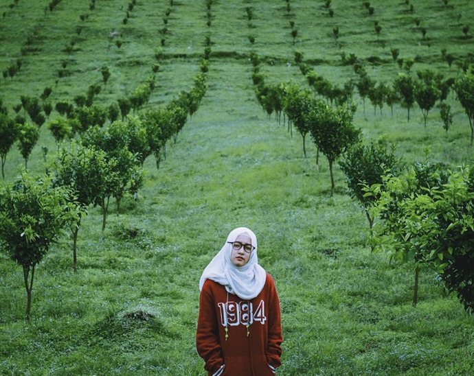 Agrowisata Kaligua, Tempat Wisata Tersembunyi Untuk Liburan Keluarga