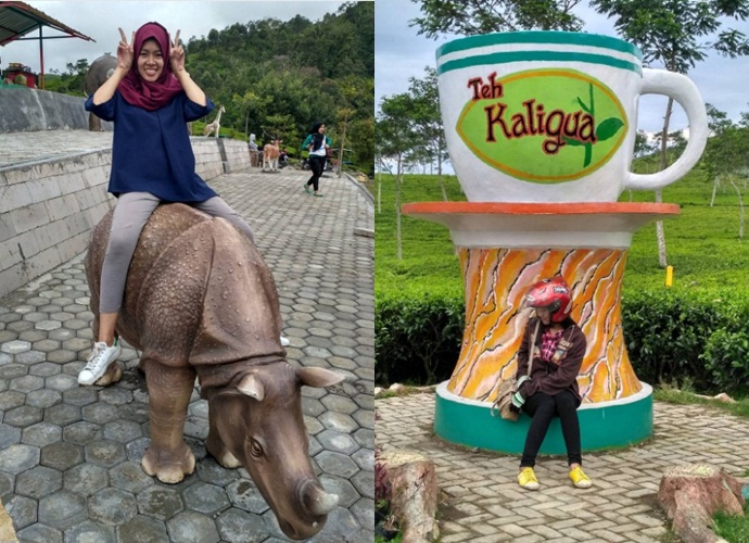 Agrowisata Kaligua, Tempat Wisata Tersembunyi Untuk Liburan Keluarga