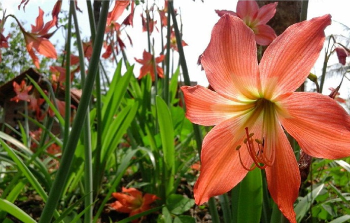 5 Tempat Wisata Indah ini Berawal Dari Kebetulan