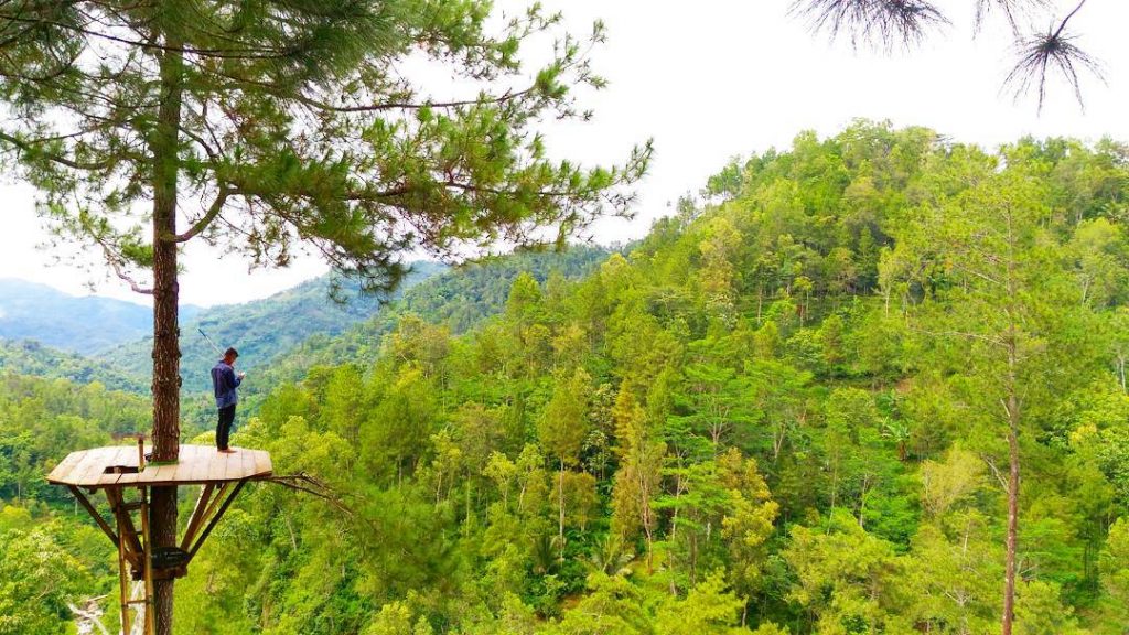 Tempat Wisata Pacitan yang Terbaru, Sudah ke Sana?