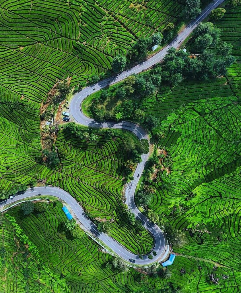Wisata di Rancabali Bandung, dari Hotel Hingga Pemandangan Gunung