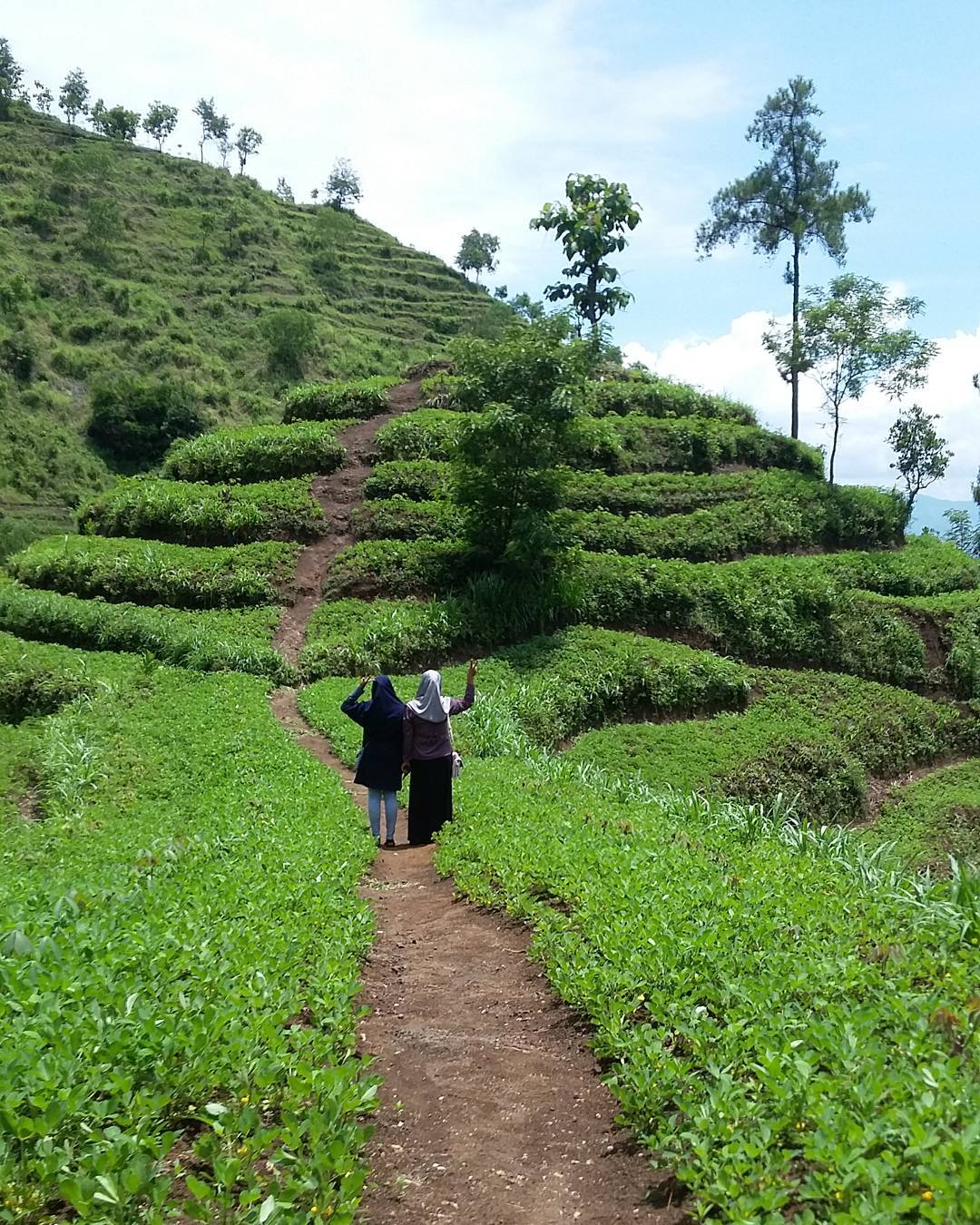 Gunung Beruk, Wisata Alam Indah di Ponorogo