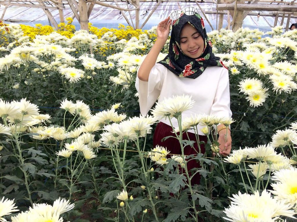 Setiya Aji Flower Farm, Wisata Semarang yang Segar