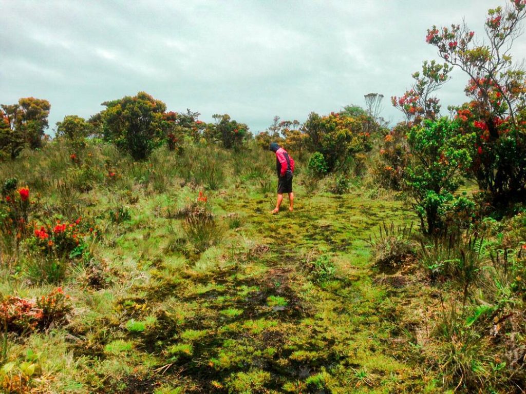 Talamau, Gunung dengan Telaga Terbanyak di Indonesia