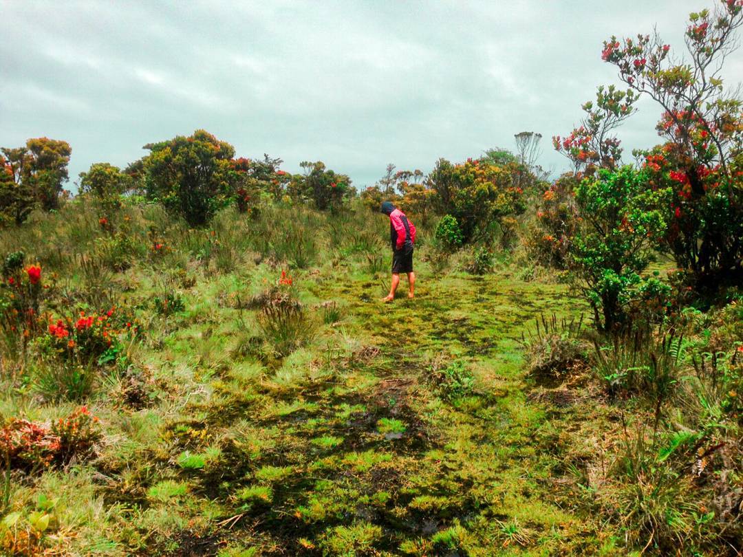 Talamau, Gunung dengan Telaga Terbanyak di Indonesia