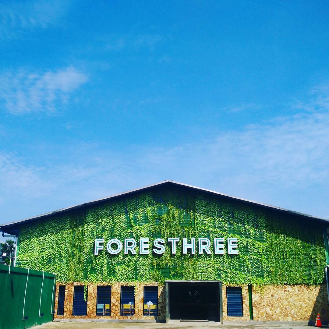 ForesThree, Cafe dengan Suasana Hutan dan Menu Sehat di Bogor