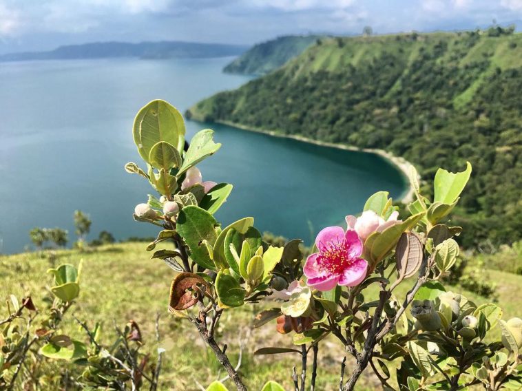 Hotel Fotogenik ini Pemandangannya Menghadap Danau Toba