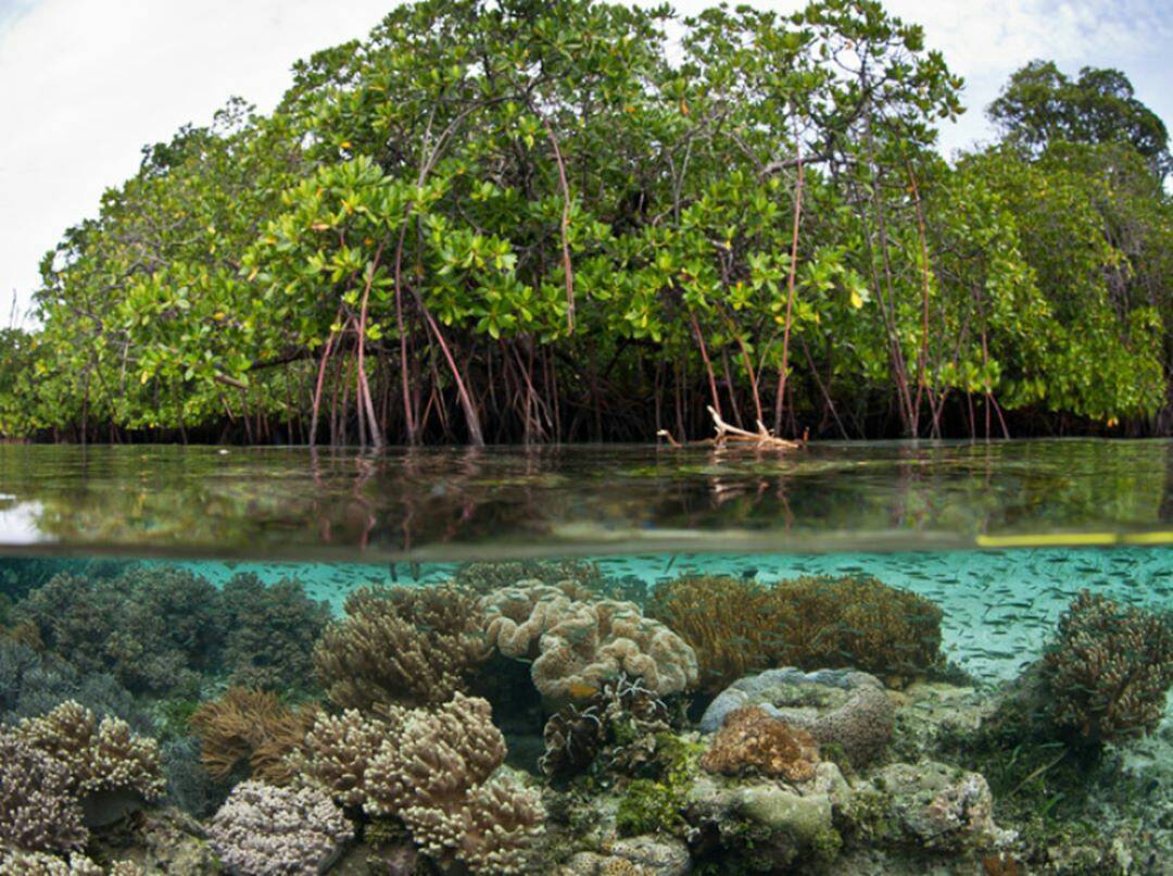 Wisata Alam di Mandailing Natal Tidak Kalah dengan Medan Loh!