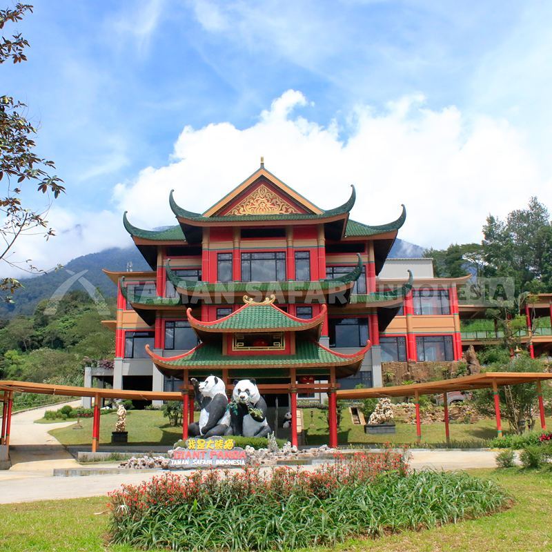 HORE! Sebentar Lagi Ada Panda di Indonesia