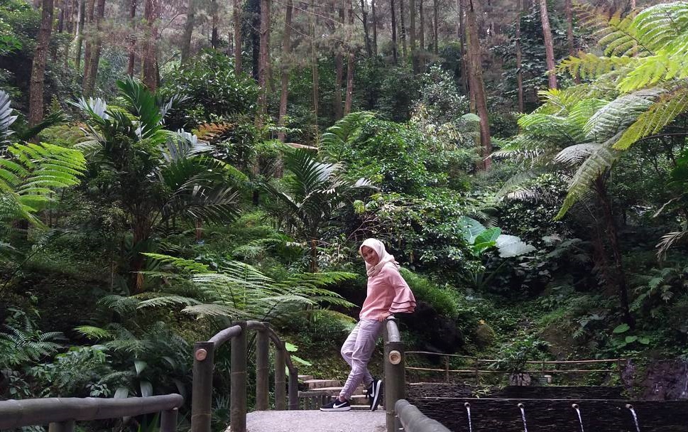 Curug Cipeuteuy, Wisata Majalengka di Kaki Gunung Ciremai