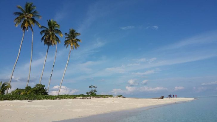 Berjalan ke Tengah Laut di Pulau Spongebob, Surganya Kalimantan Timur