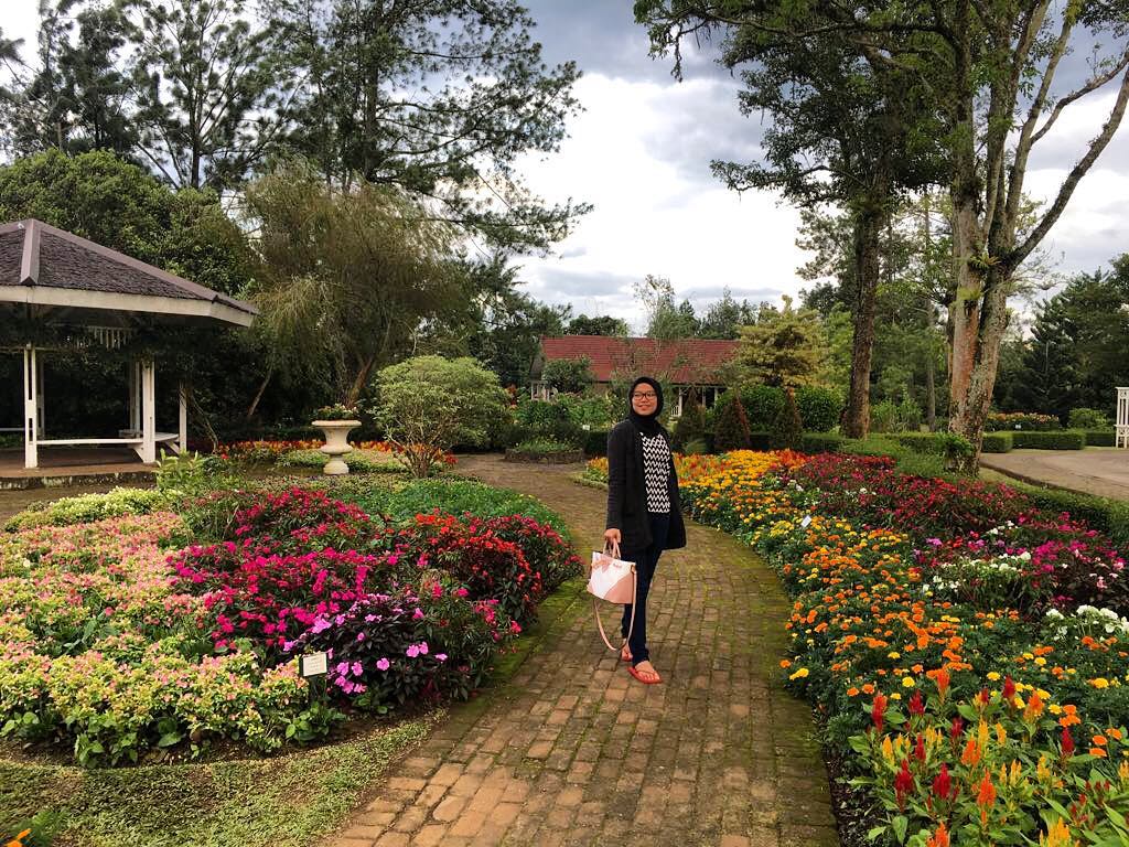 Agrowisata di Bogor, Atmosfer Perkebunan yang Sejuk dan Asri