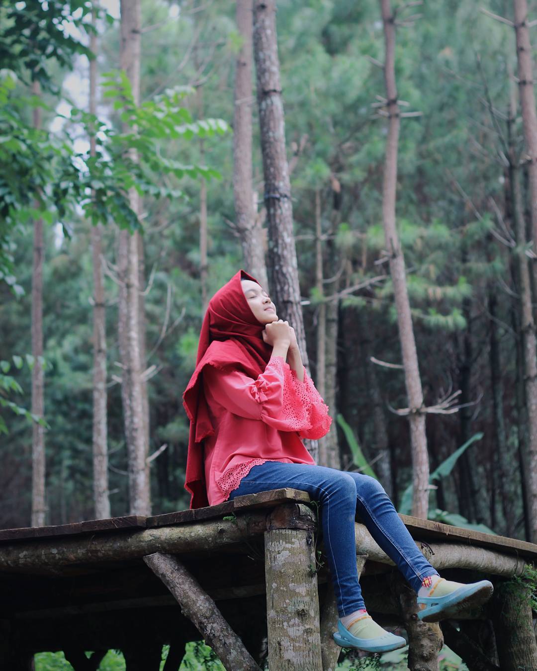 Delapan Wisata Bernuansa Hutan Pinus di Jawa Timur dengan Panorama ...