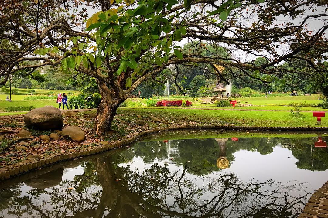 Spot-spot Foto di Kebun Raya Bogor yang Instagramable