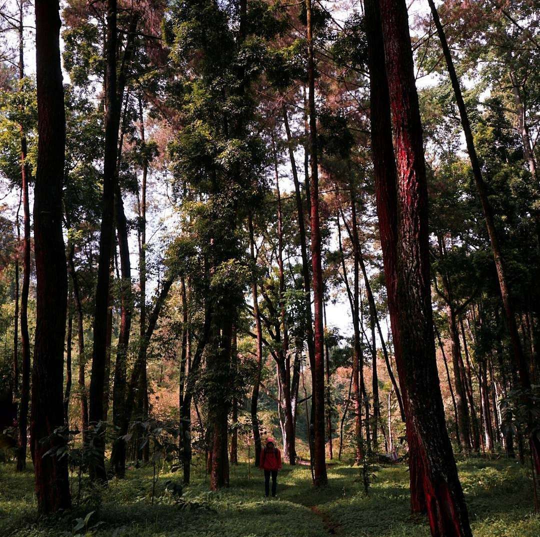 Ledok Ombo, Menikmati Alam Sekaligus Makan di Malang