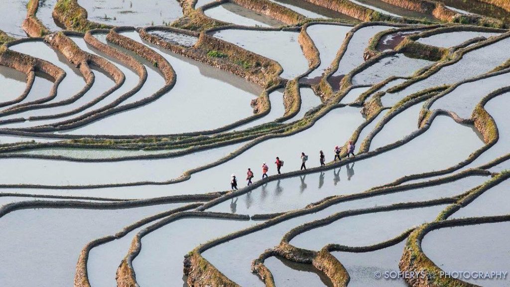 Tak Hanya di Indonesia, Ini Destinasi dengan Terasering Sawah yang Memukau