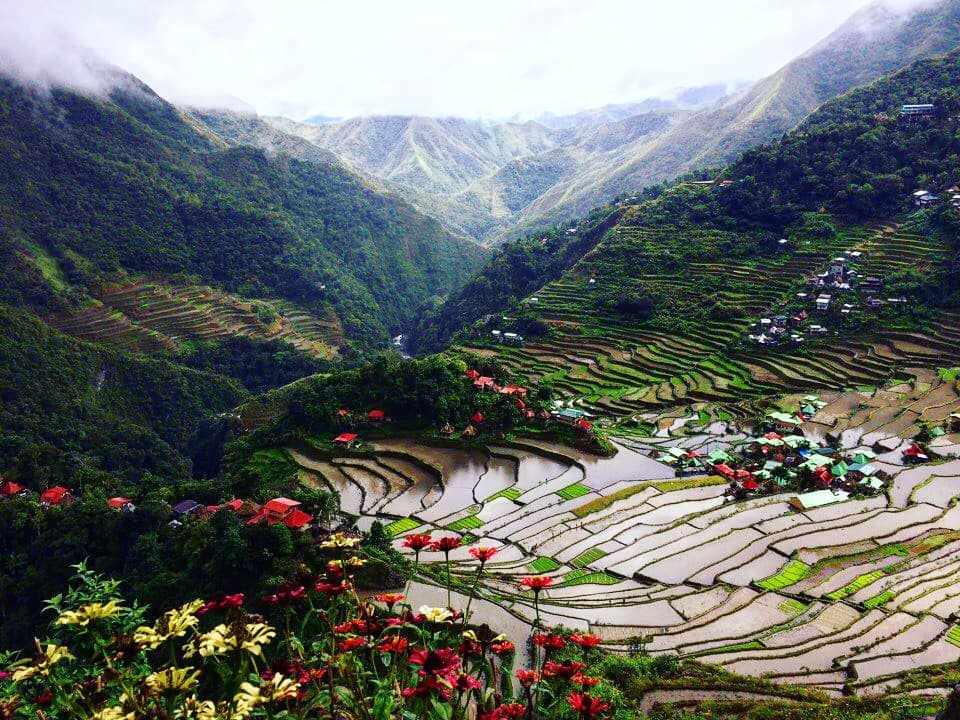 Tak Hanya di Indonesia, Ini Destinasi dengan Terasering Sawah yang Memukau