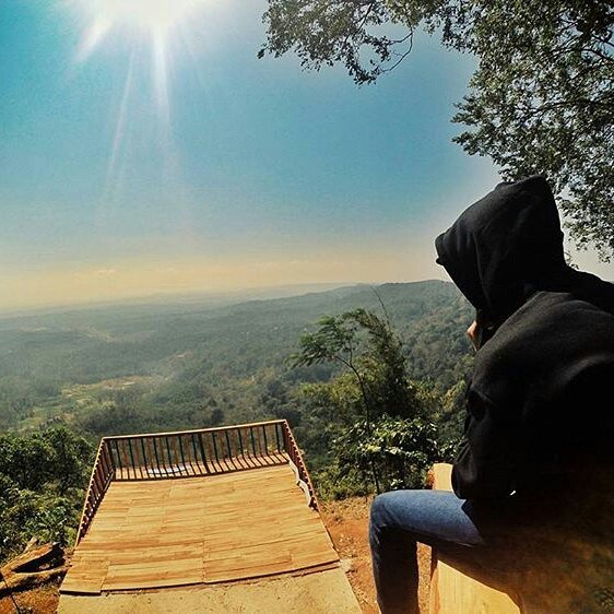 Permata Bukit Kendeng, Wisata Baru di Kendal Tawarkan Bukit Pandang
