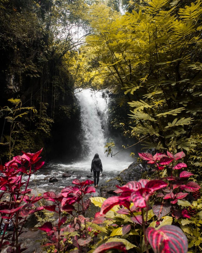Coban Jidor, Keeksotisan Air Terjun Perawan di Ujung Timur Malang