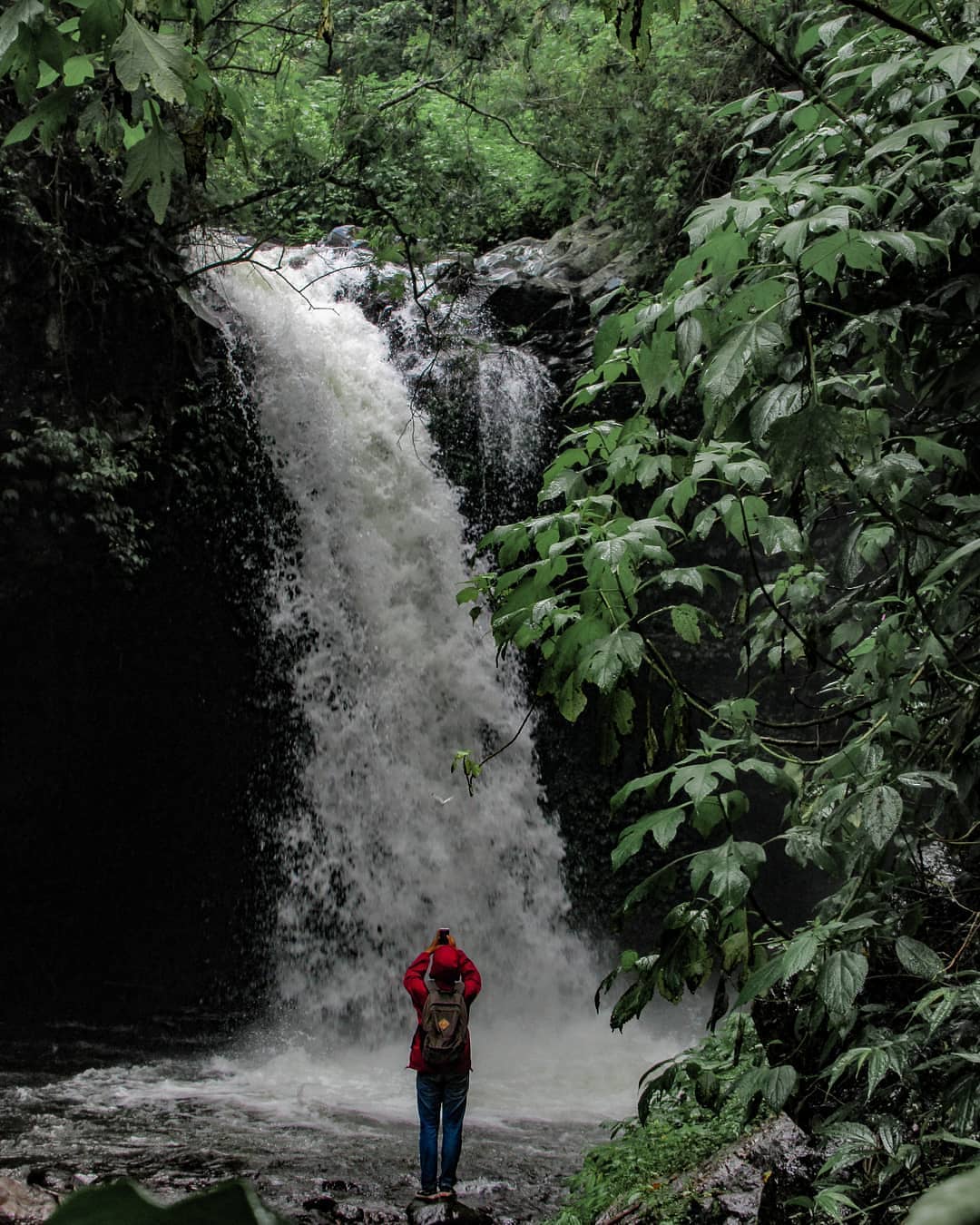 Coban Jidor, Keeksotisan Air Terjun Perawan di Ujung Timur Malang