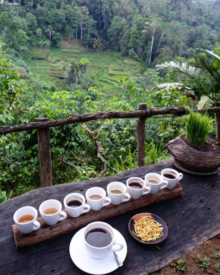 Tak Cuma Berjemur di Pantai, Ini Tujuh Hal yang Bisa Kamu Lakukan untuk ...