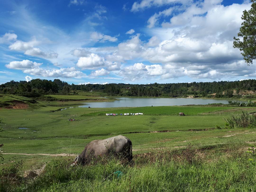 Sidihoni, Fenomena Indah Danau Dalam Danau di Samosir