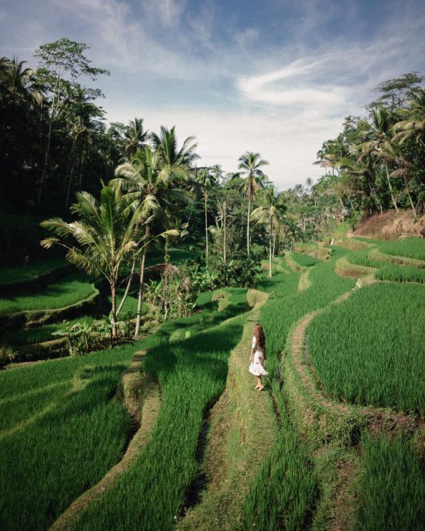 Destinasi Wisata Terasering Cantik di Indonesia, Undakan Sawah Instagenic