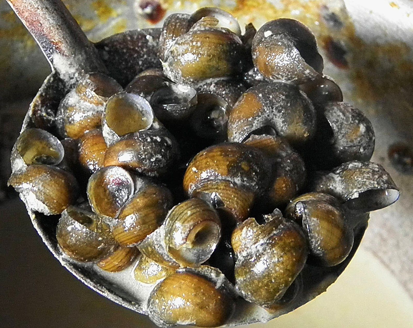 5 Kuliner Majalengka yang Enak untuk Puaskan Lidah