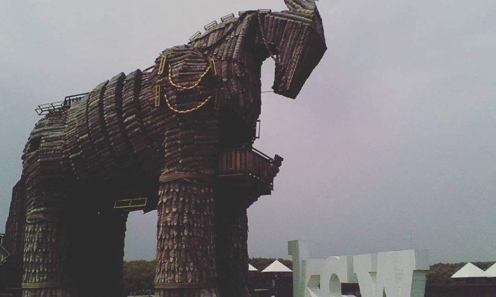 Masifnya Kuda Troya nan Legendaris di Hutan Bakau BJBR Probolinggo