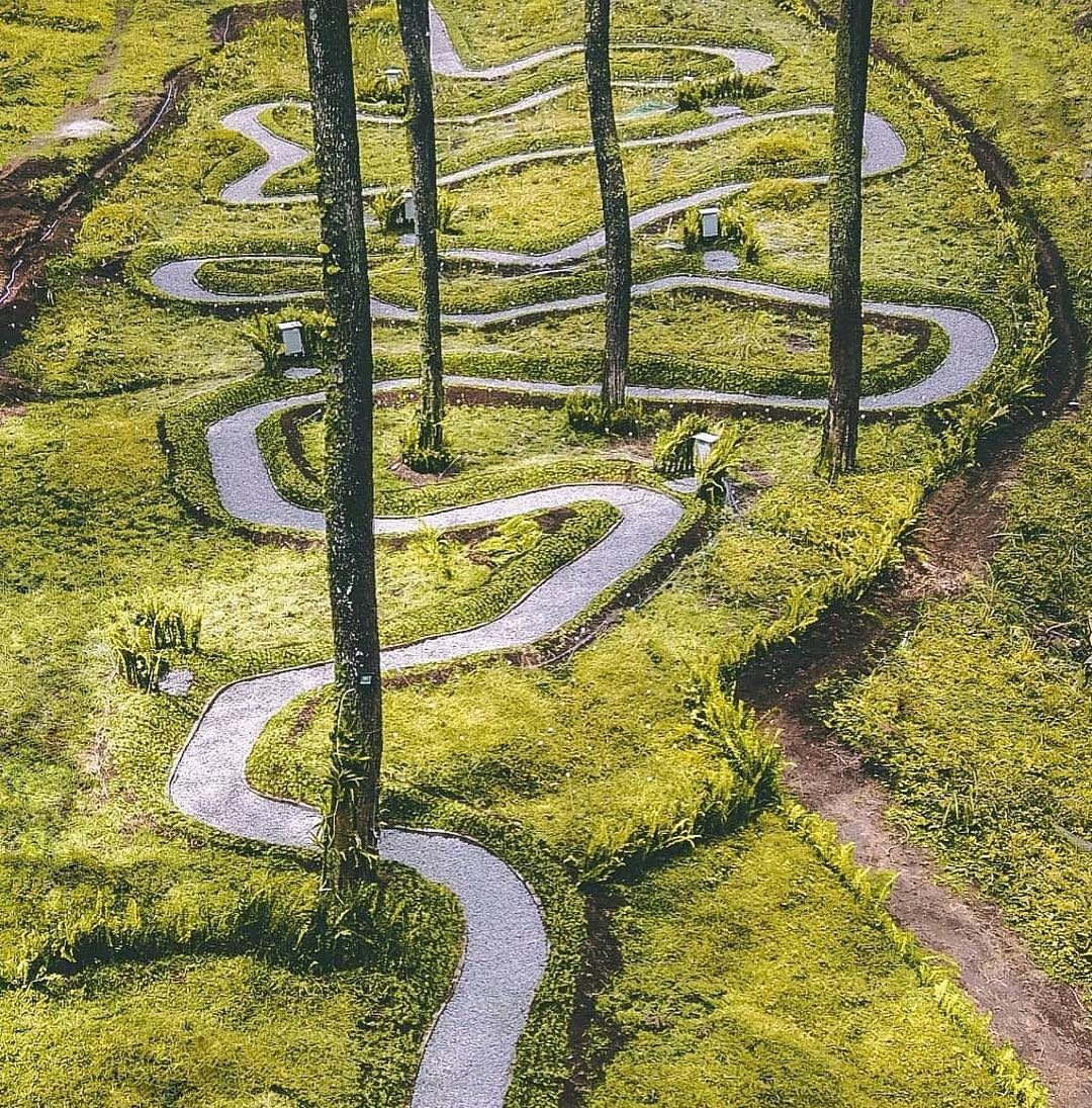 Wisata Jalan kaki di Bandung yang Sejuk dengan Pepohonan Rindang