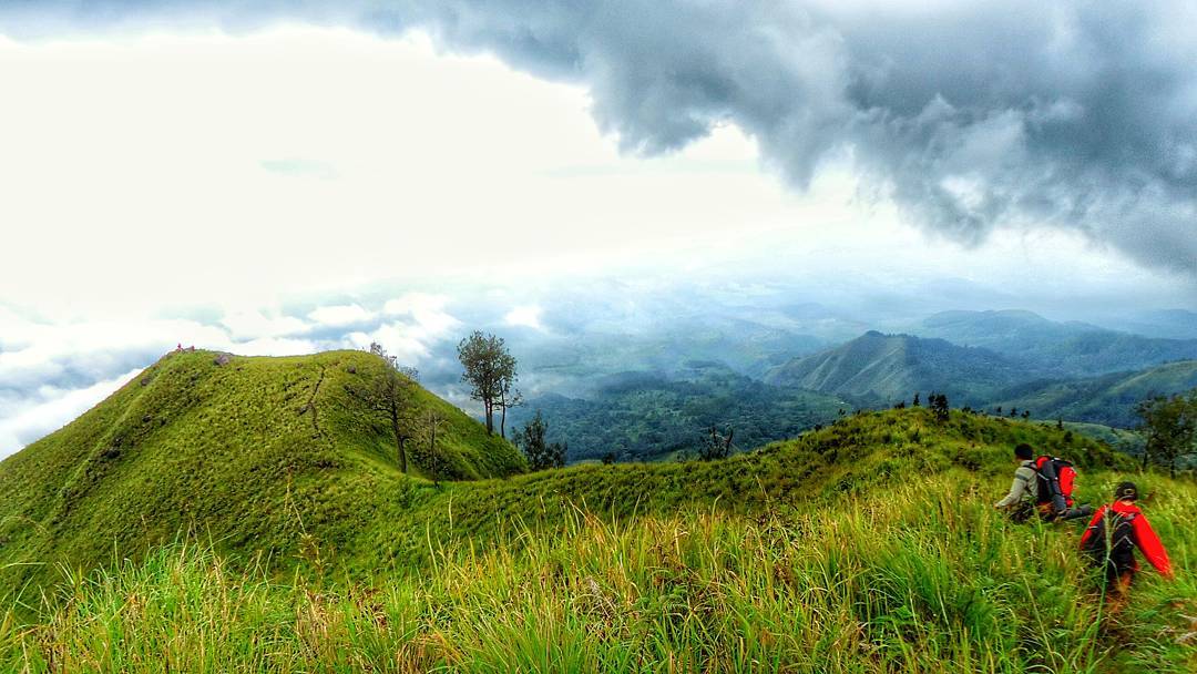 Pesona Sabana Lincing, Bukit di Malang untuk Menikmati Sunrise